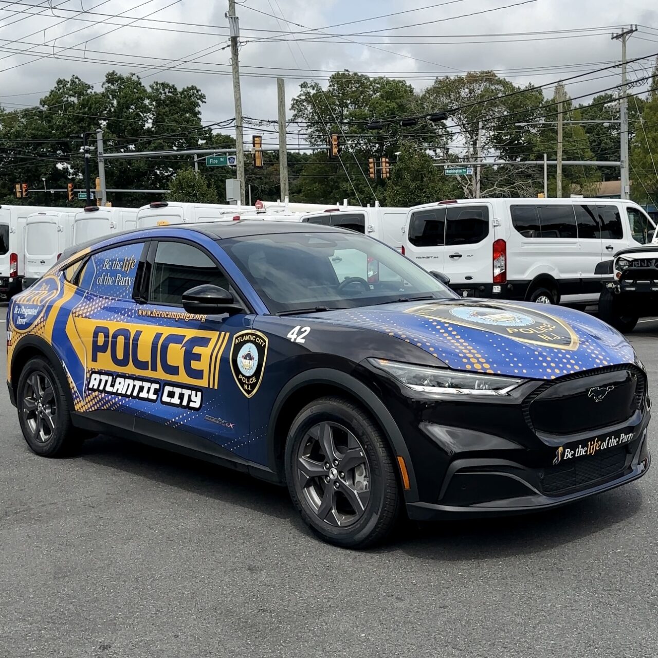 WRAP GALLERY - Distinctive CarToyz